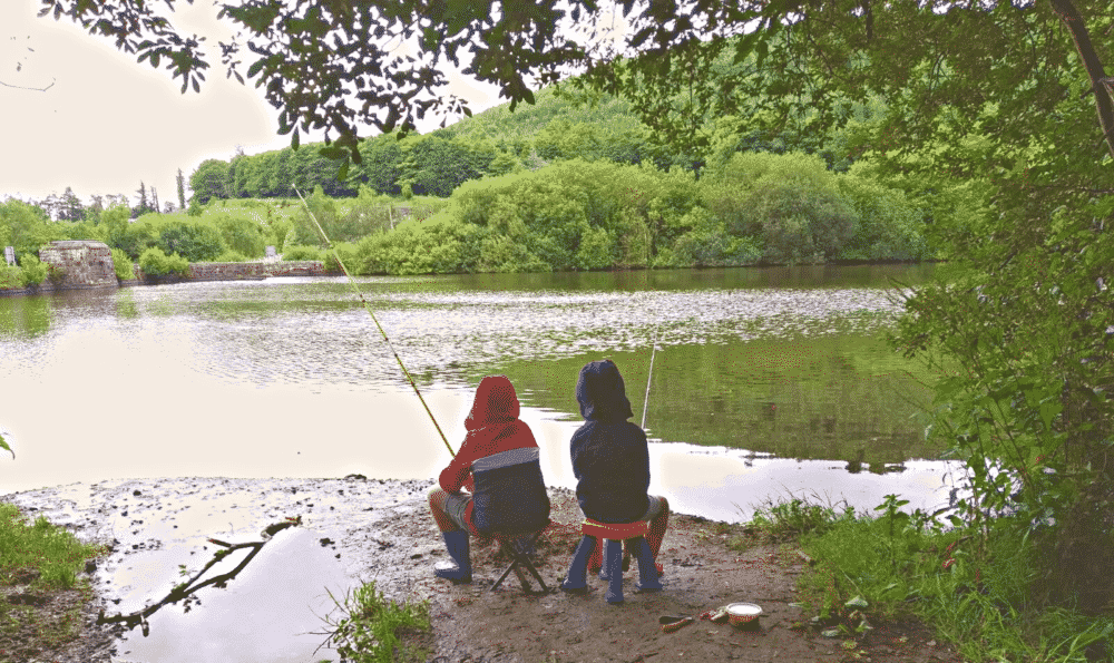 Love Carlow- Hotel in Carlow - Woodford Dolmen Hotel